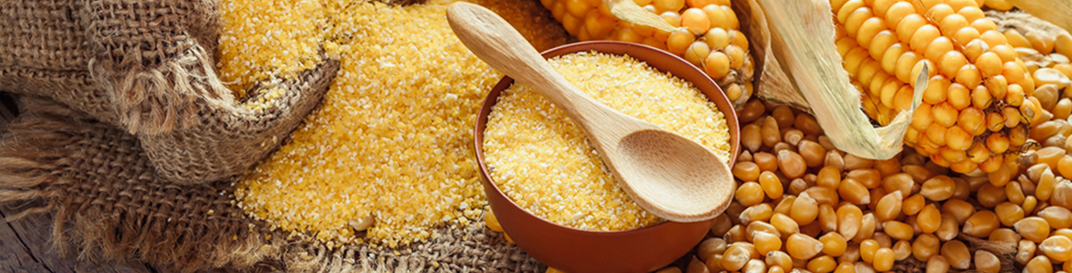 Corn Milling Equipment - COFCO TI